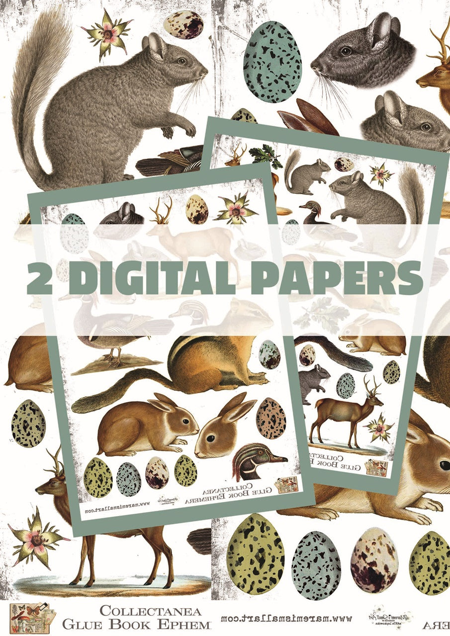 Collectanea Glue Book set 3 – Maremi Small Art